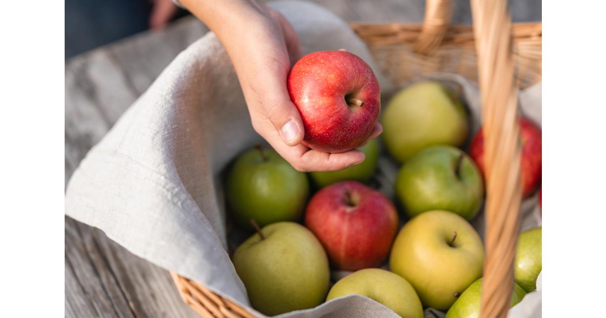 Nachhaltige Apfelverpackung aus Südtirol entdecken
