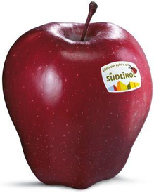 Red Delicious: Südtirols „Fashion Apfel“ unten den Apfelsorten.