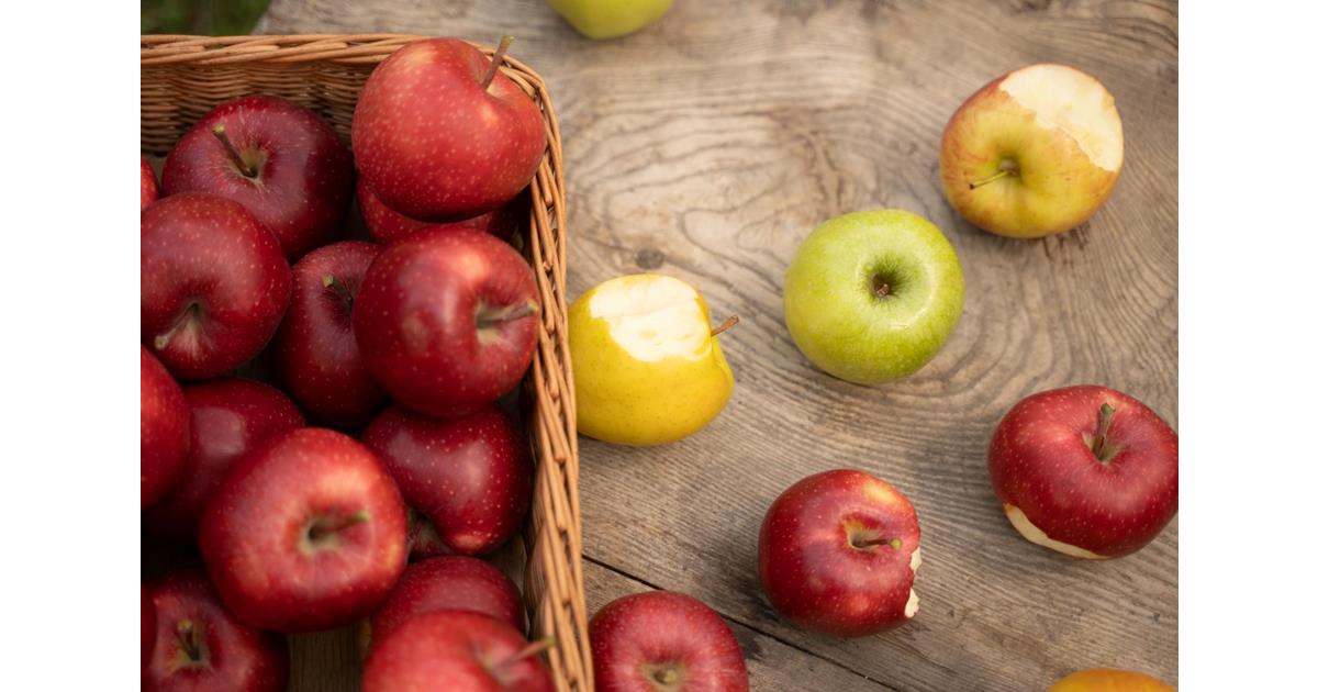Die 24 Südtiroler Apfelsorten