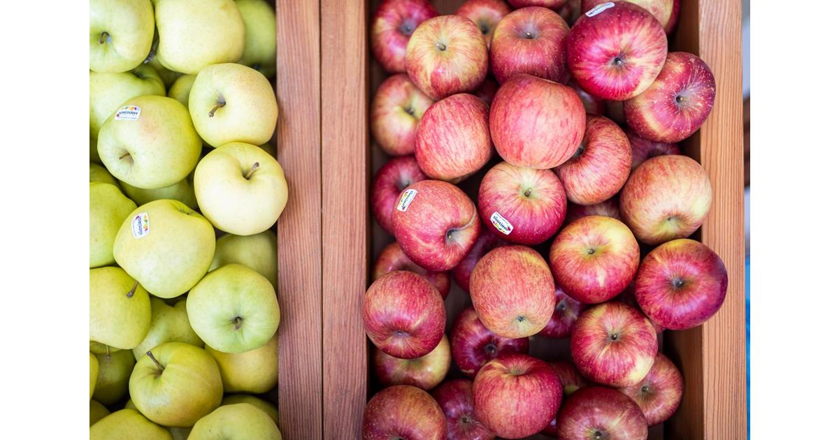 Äpfel kaufen in Südtirol: Wo finde ich meine Lieblings-Apfelsorte?